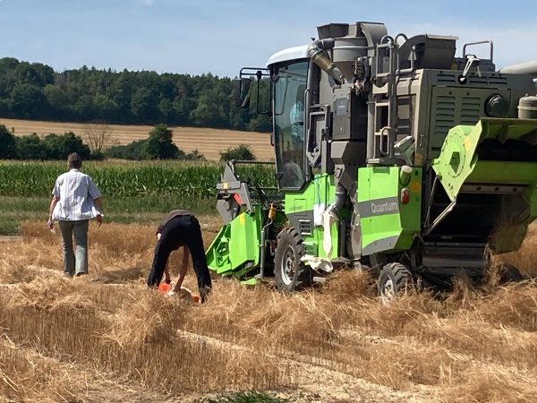 Quantum Plus erfolgreich bei der schwierigen Ernte von Lein